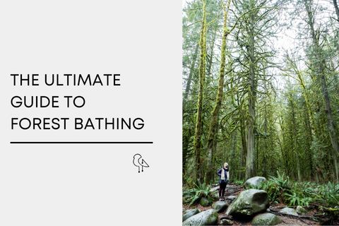 The Joy of Forest Bathing: Your Complete Guide to Finding Peace in ...